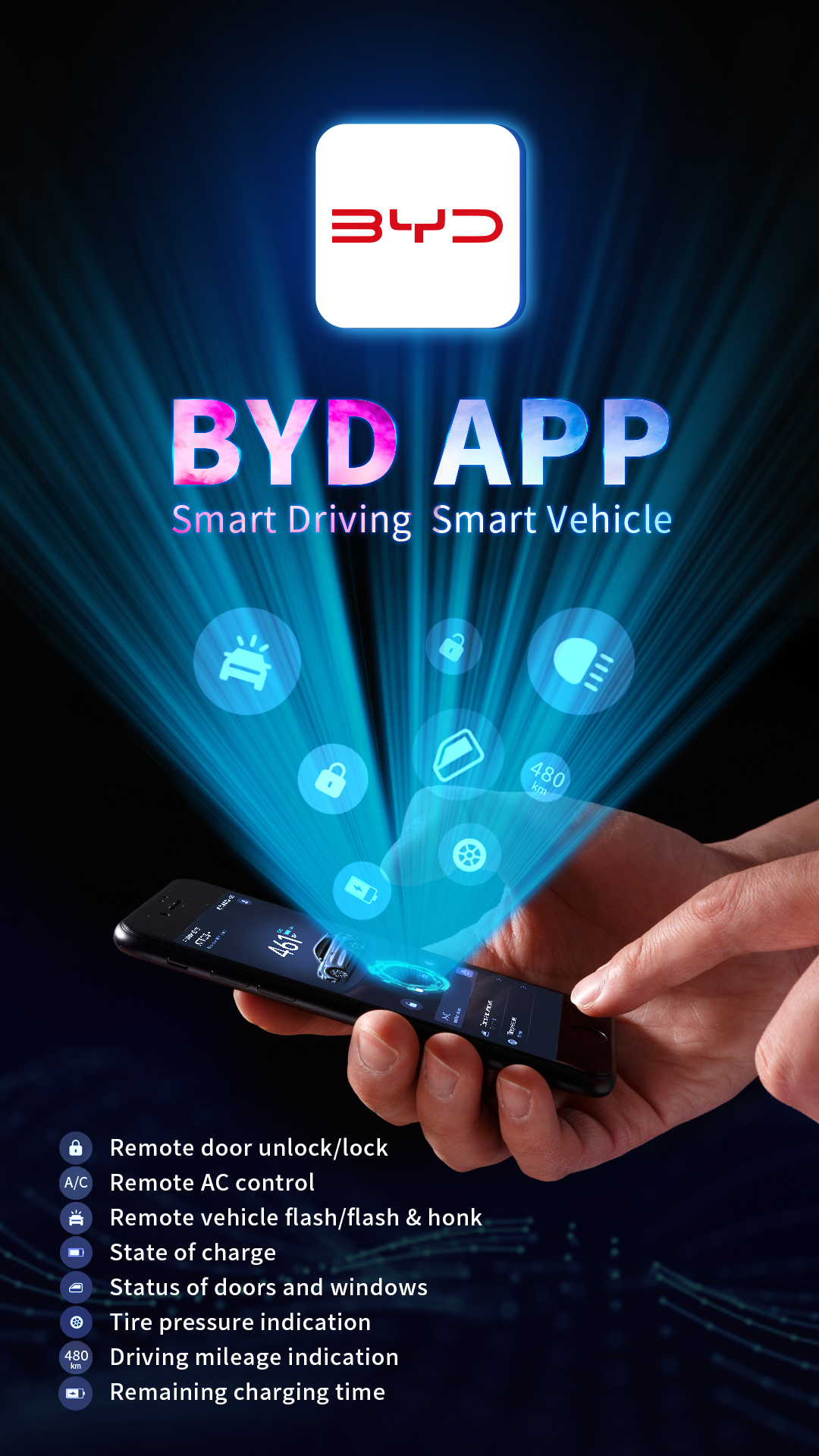 Your BYD - BYD Nelson